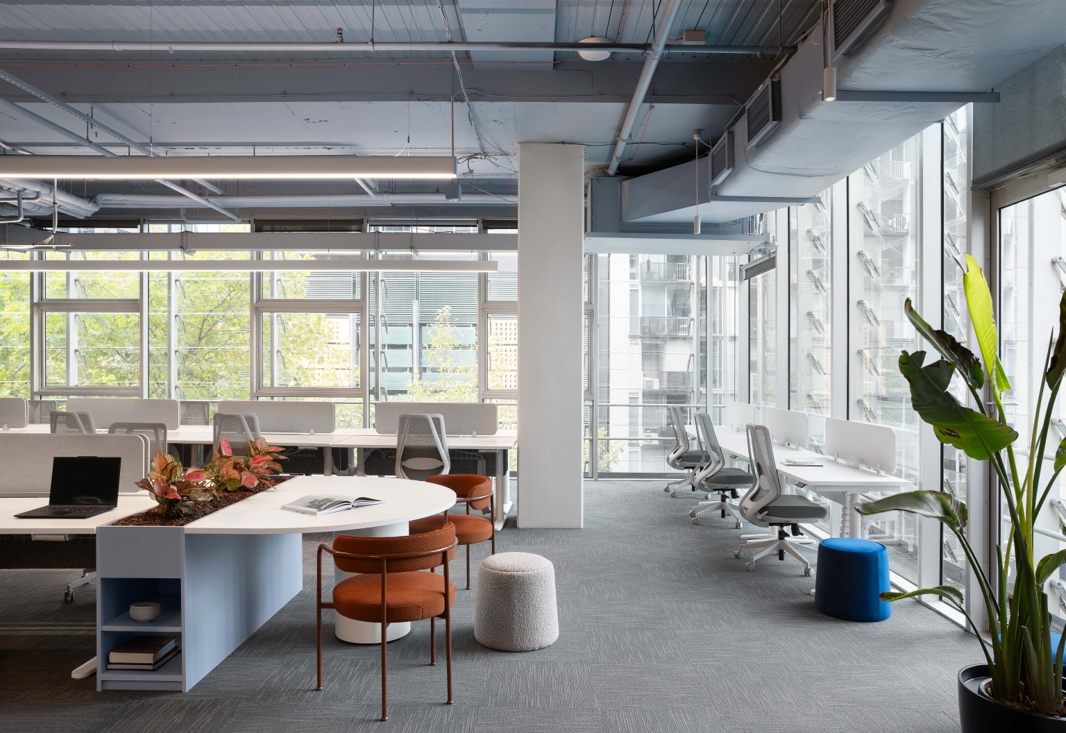 Voka - White Grey | Advanta