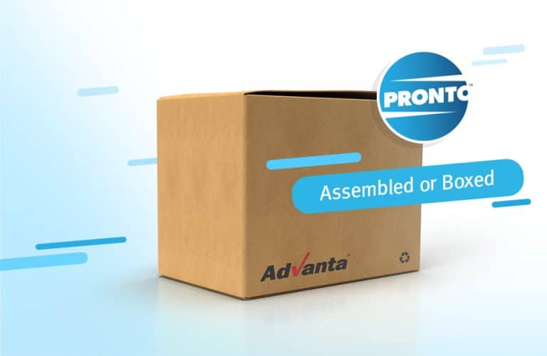 Graphite 'Pronto' - Advanta